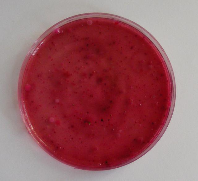 Endo agar | KÖRnyezetvédelmi INFOrmáció