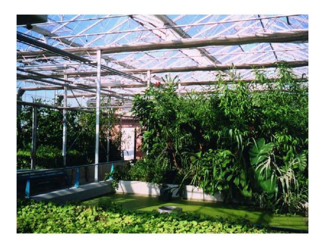 Élőgépek | KÖRnyezetvédelmi INFOrmáció