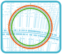 BACMAP - Baktérium Genom Atlasz | KÖRnyezetvédelmi INFOrmáció