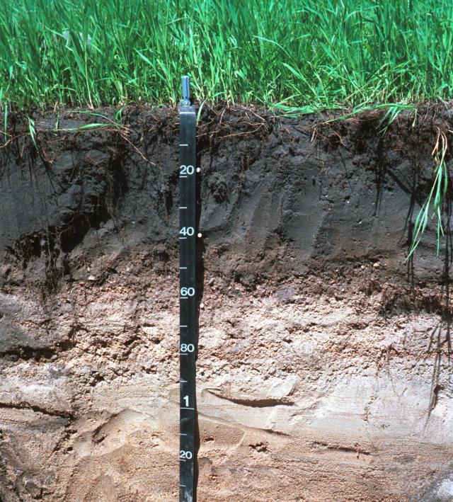 Talaj | KÖRnyezetvédelmi INFOrmáció